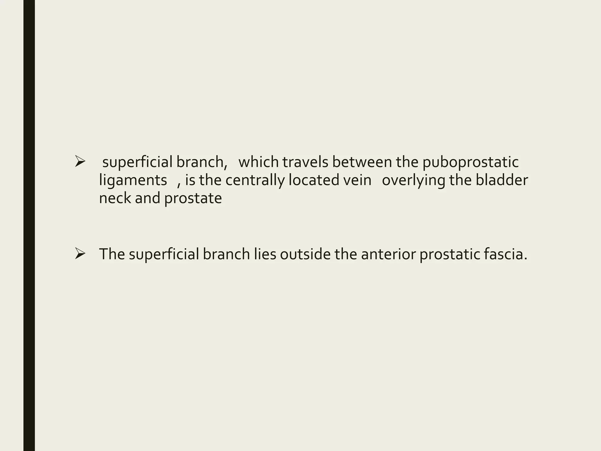 Anatomy and physiology of prostate | PPTX
