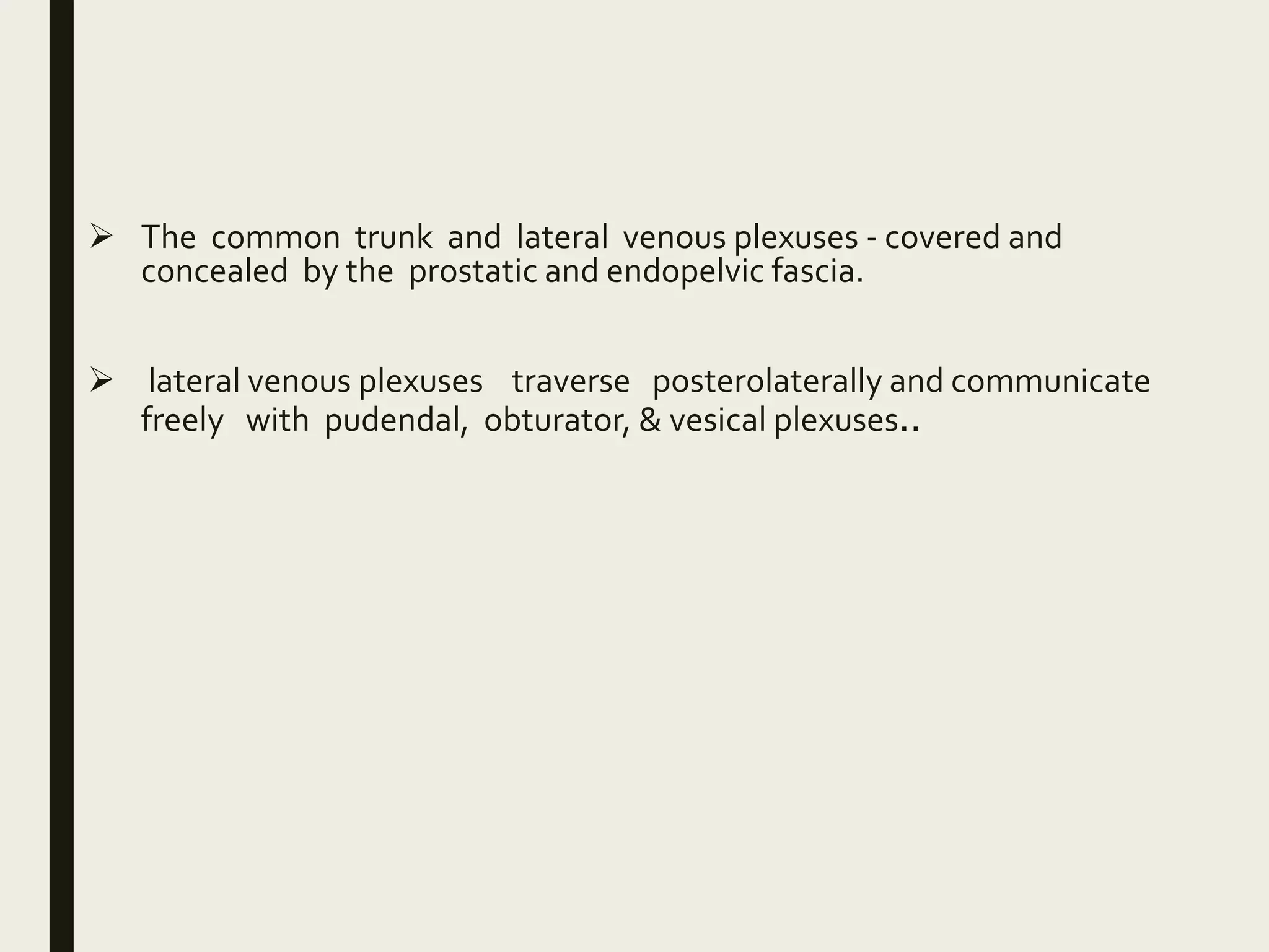 Anatomy and physiology of prostate | PPTX