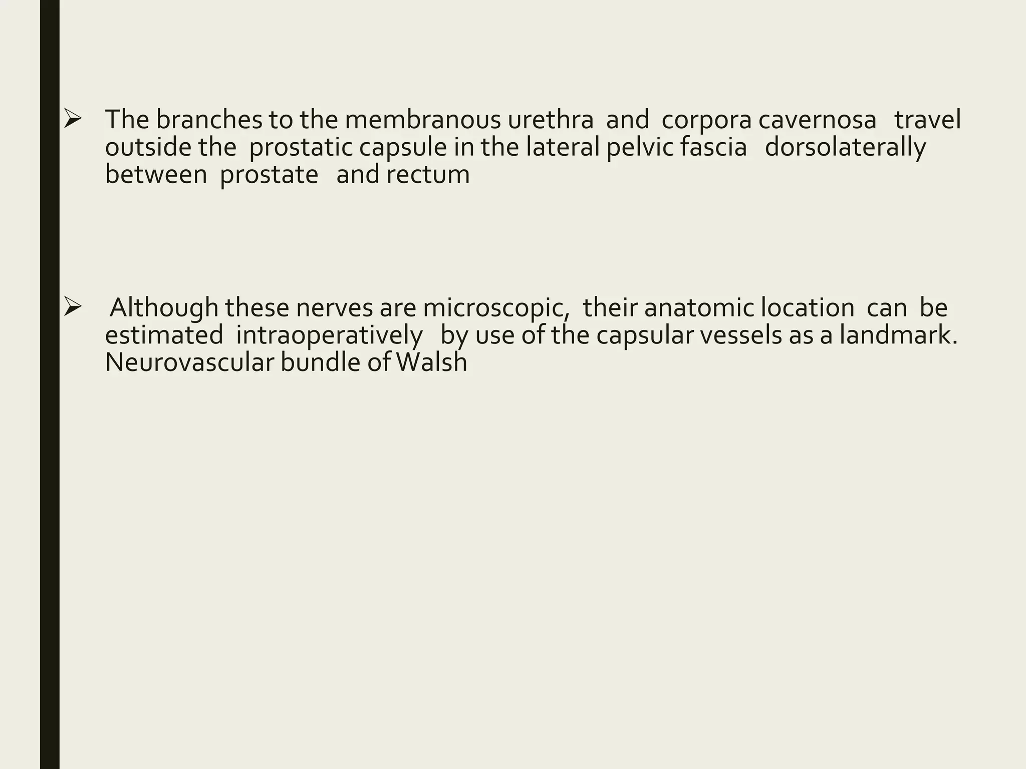 Anatomy and physiology of prostate | PPTX