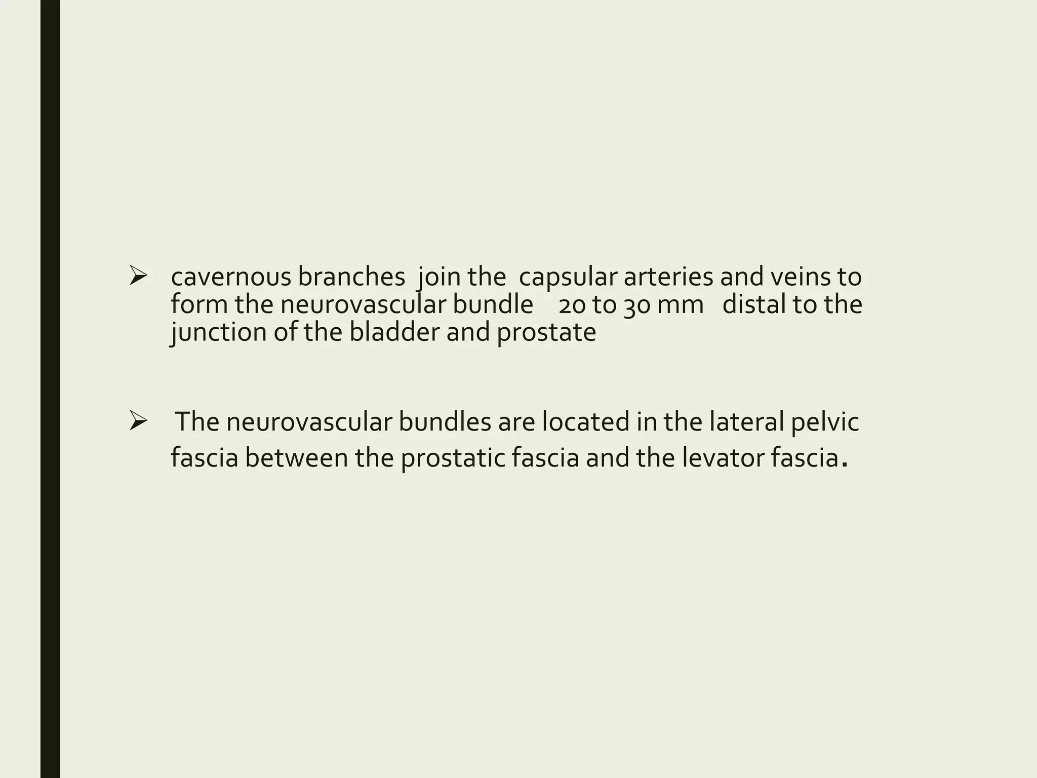 Anatomy and physiology of prostate | PPTX