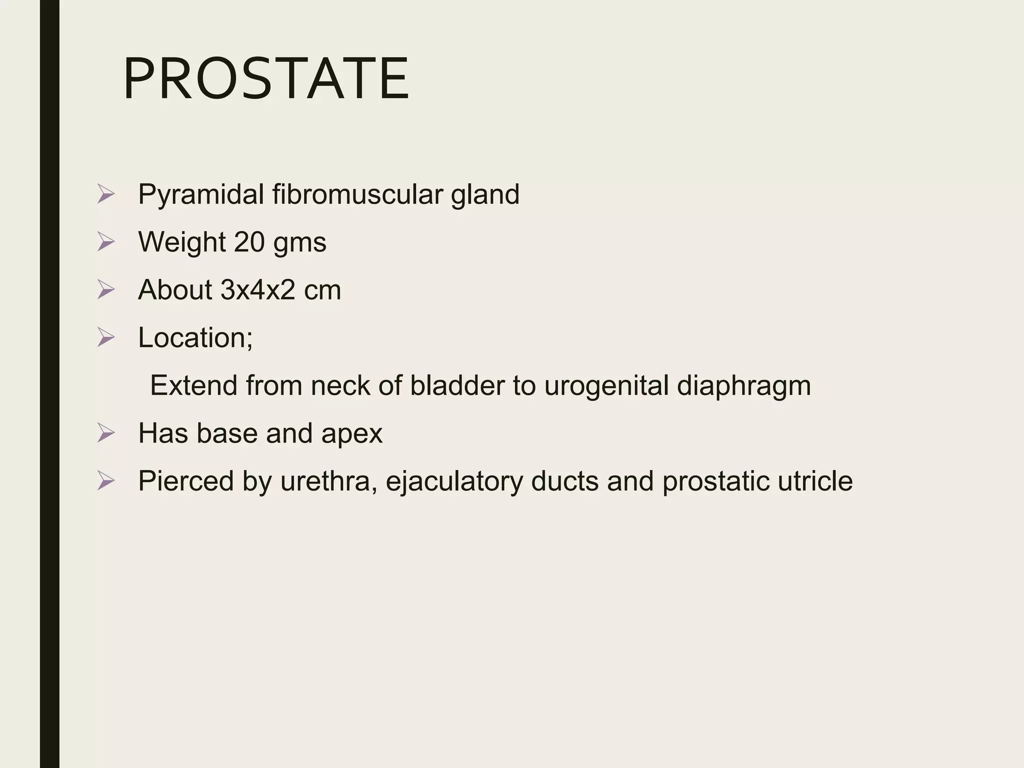 Anatomy and physiology of prostate | PPTX
