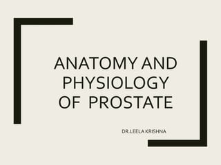 Anatomy and physiology of prostate | PPTX