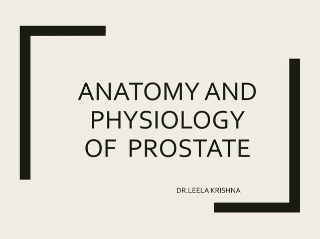 Anatomy and physiology of prostate | PPTX