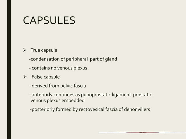 Anatomy and physiology of prostate | PPTX