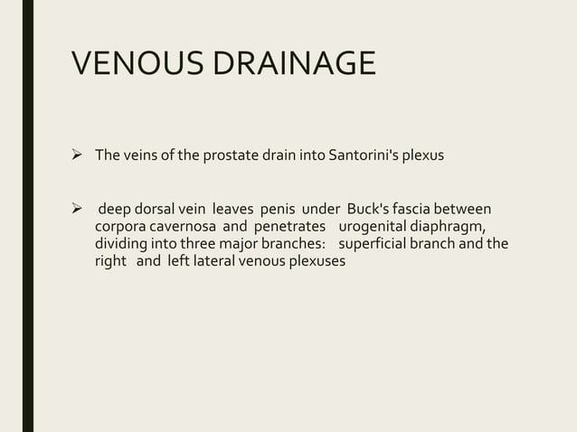 Anatomy and physiology of prostate | PPTX