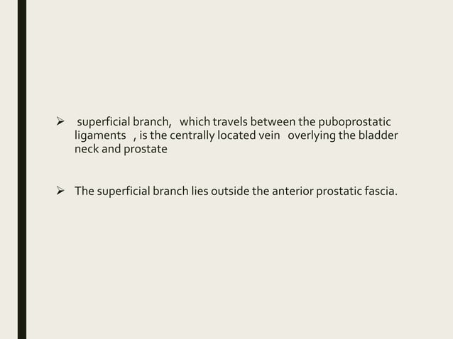 Anatomy and physiology of prostate | PPTX