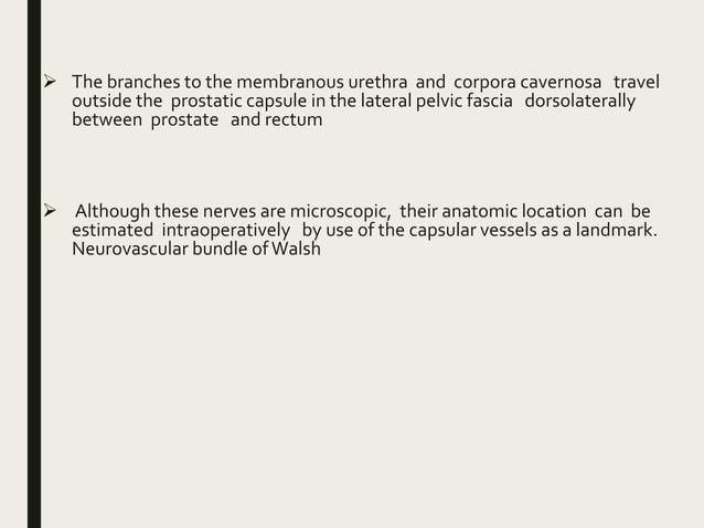 Anatomy and physiology of prostate | PPTX
