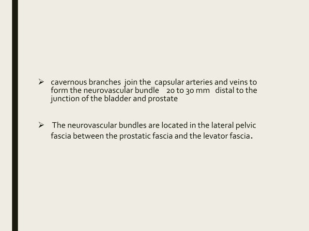 Anatomy and physiology of prostate | PPTX