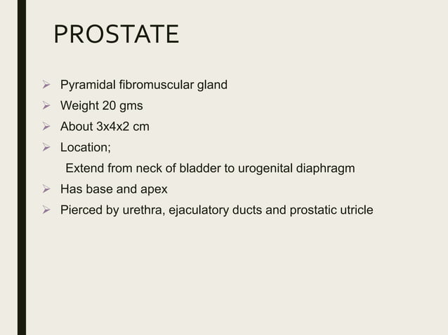 Anatomy and physiology of prostate | PPTX