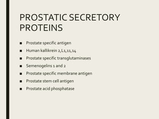 Anatomy and physiology of prostate | PPTX