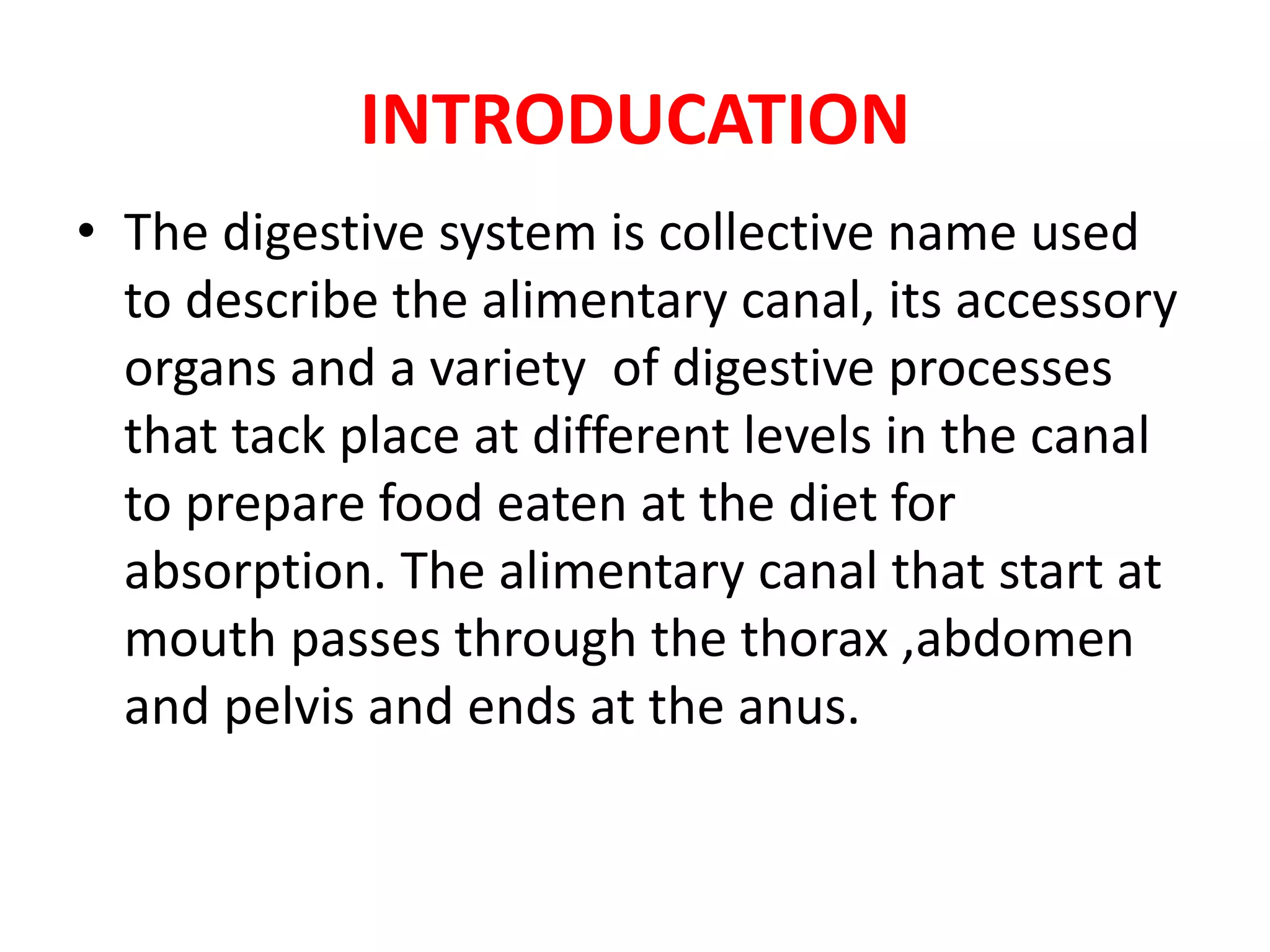 Anatomy and physiology of gastrointestinal system | PPT