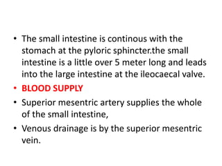 Anatomy and physiology of gastrointestinal system | PPTX