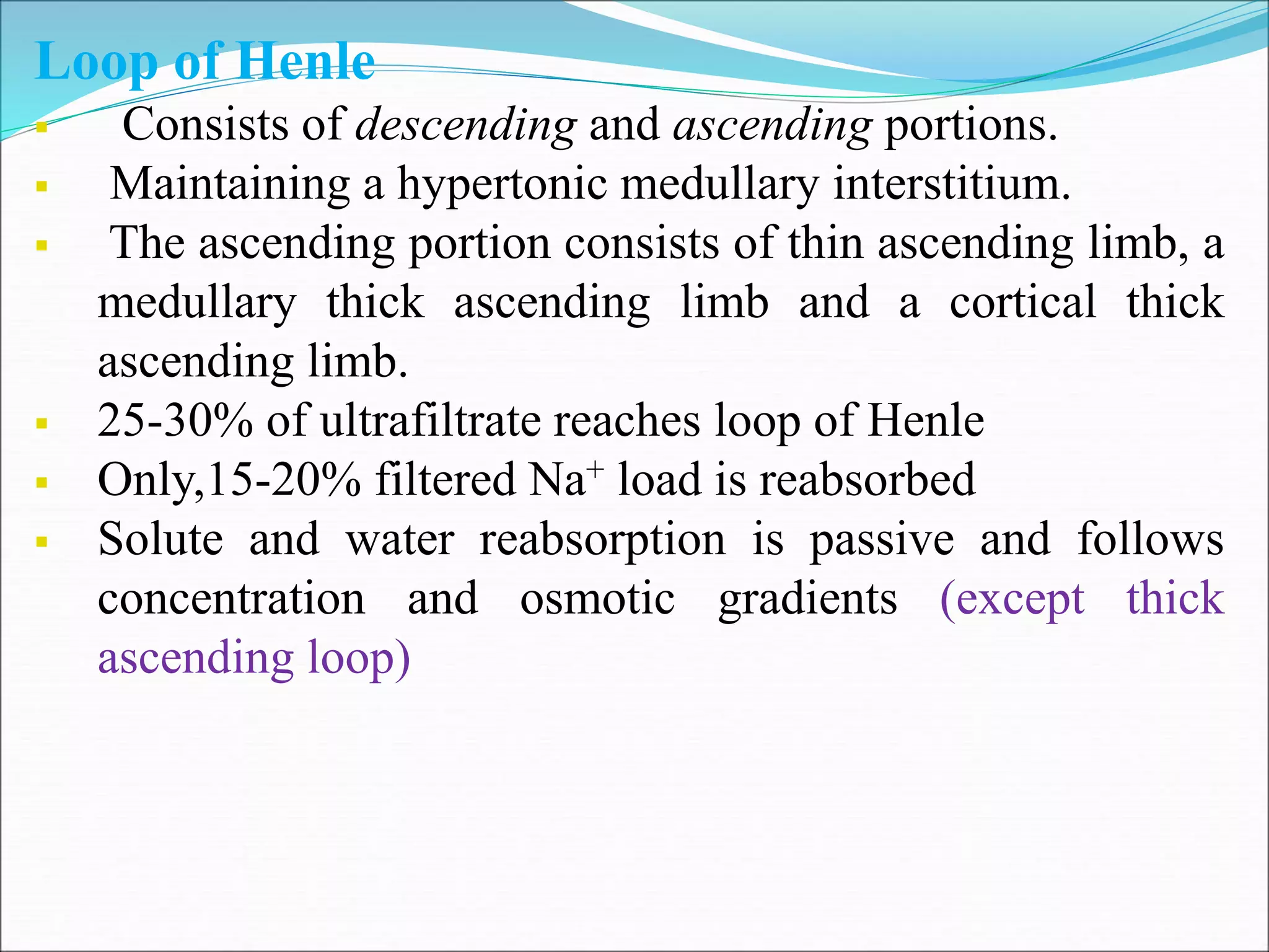 Anatomy and physiology of renal system.ppt