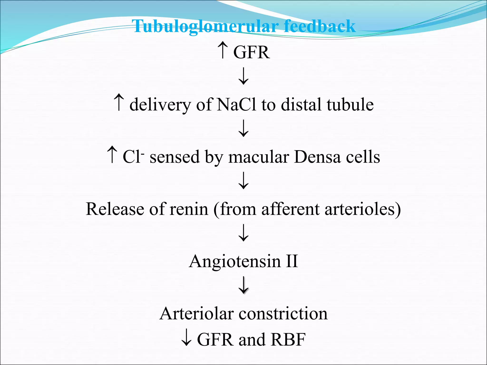 Anatomy and physiology of renal system.ppt
