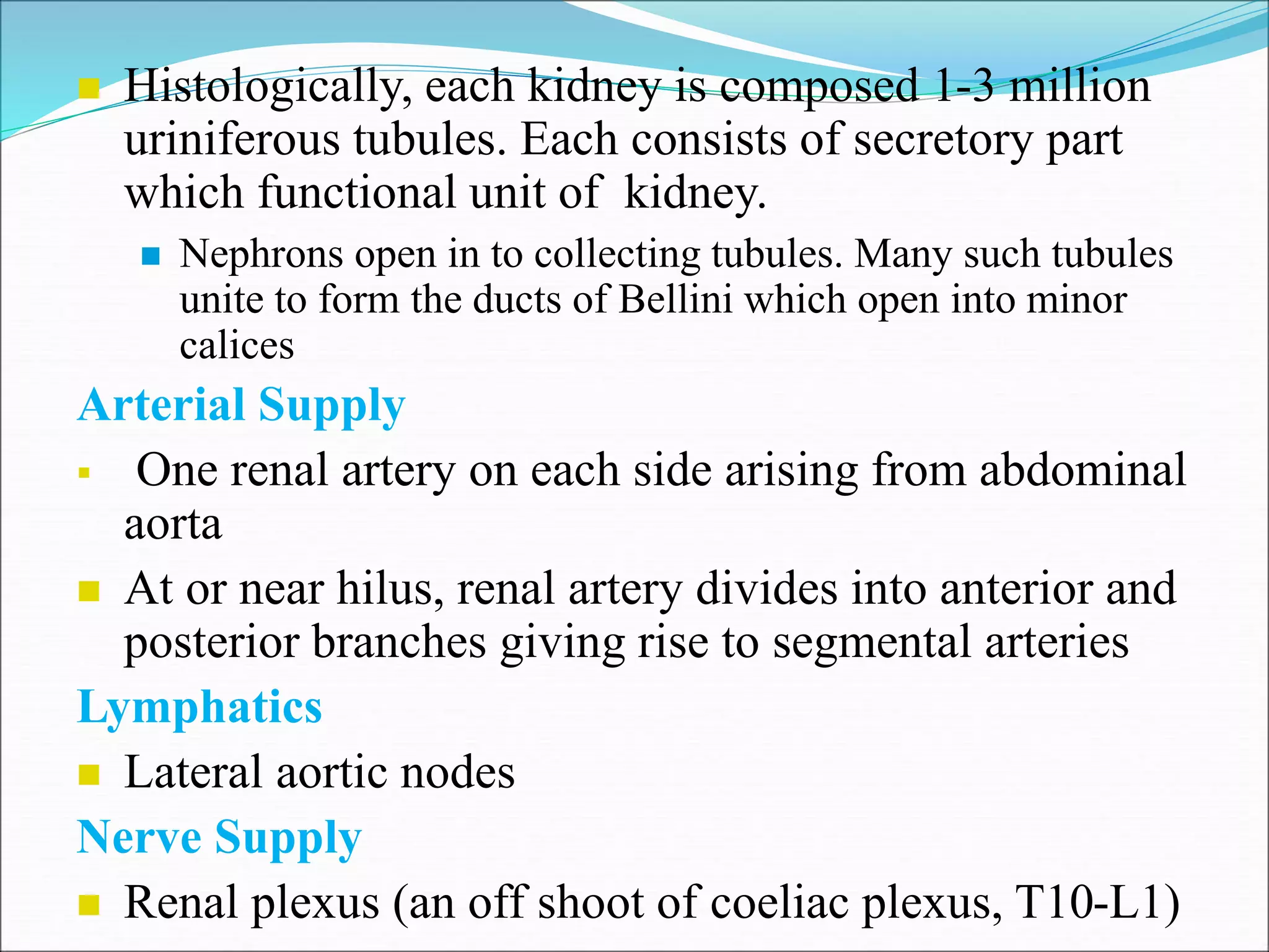 Anatomy and physiology of renal system.ppt