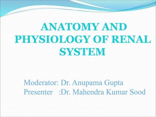 Anatomy and physiology of renal system.ppt