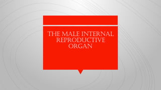 ANATOMY AND PHYSIOLOGY OF REPRODUCTION.pptx