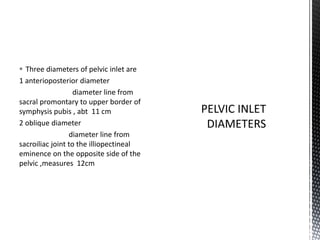 ANATOMY AND PHYSIOLOGY OF REPRODUCTIVE SYS.pptx