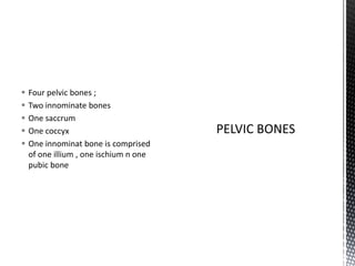 ANATOMY AND PHYSIOLOGY OF REPRODUCTIVE SYS.pptx