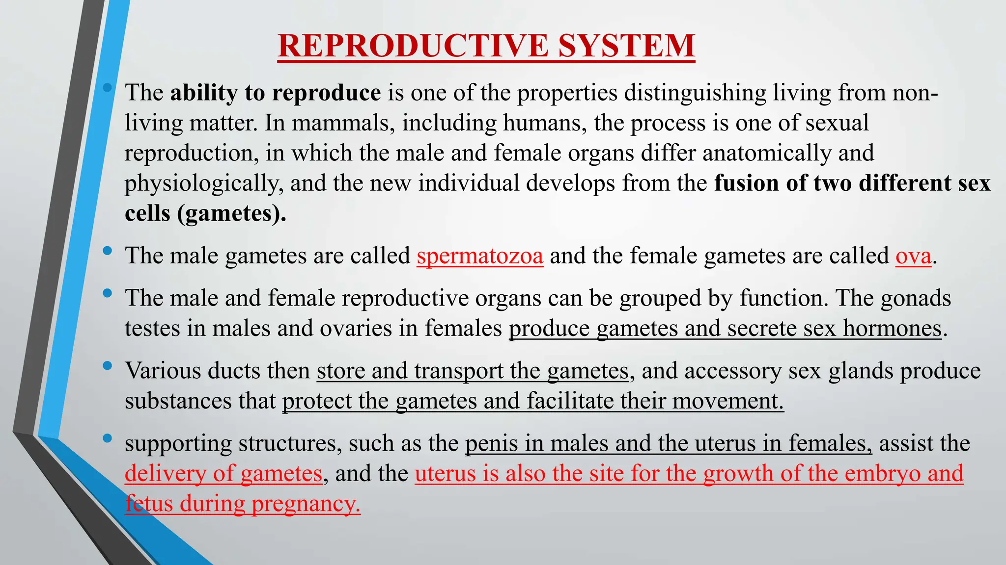ANATOMY AND PHYSIOLOGY OF REPRODUCTIVE SYSTEM.pptx