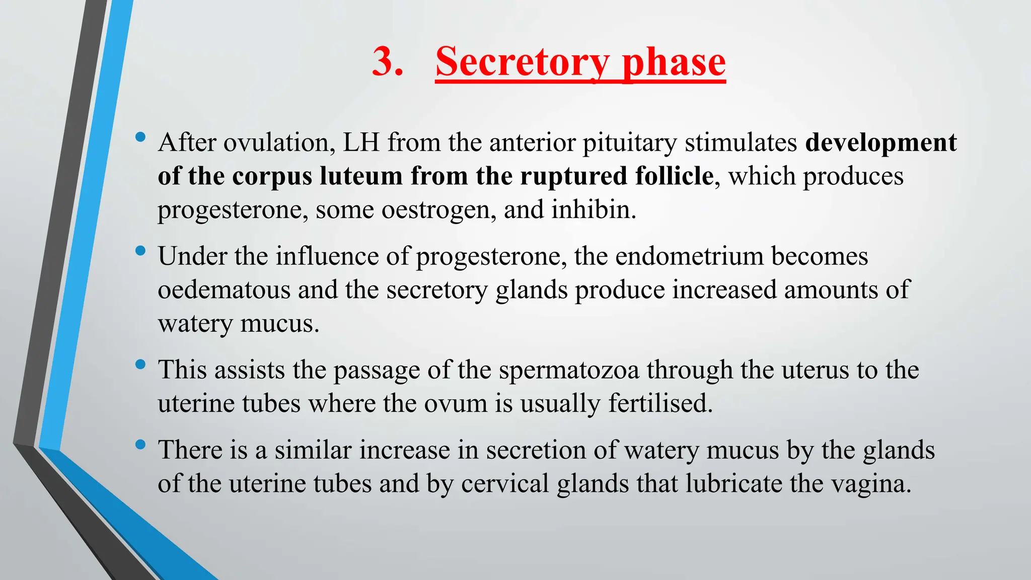 ANATOMY AND PHYSIOLOGY OF REPRODUCTIVE SYSTEM.pptx