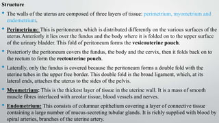 ANATOMY AND PHYSIOLOGY OF REPRODUCTIVE SYSTEM.pptx