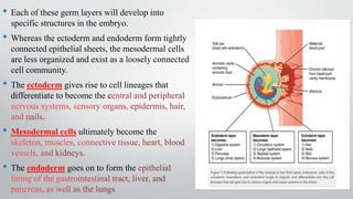 ANATOMY AND PHYSIOLOGY OF REPRODUCTIVE SYSTEM.pptx