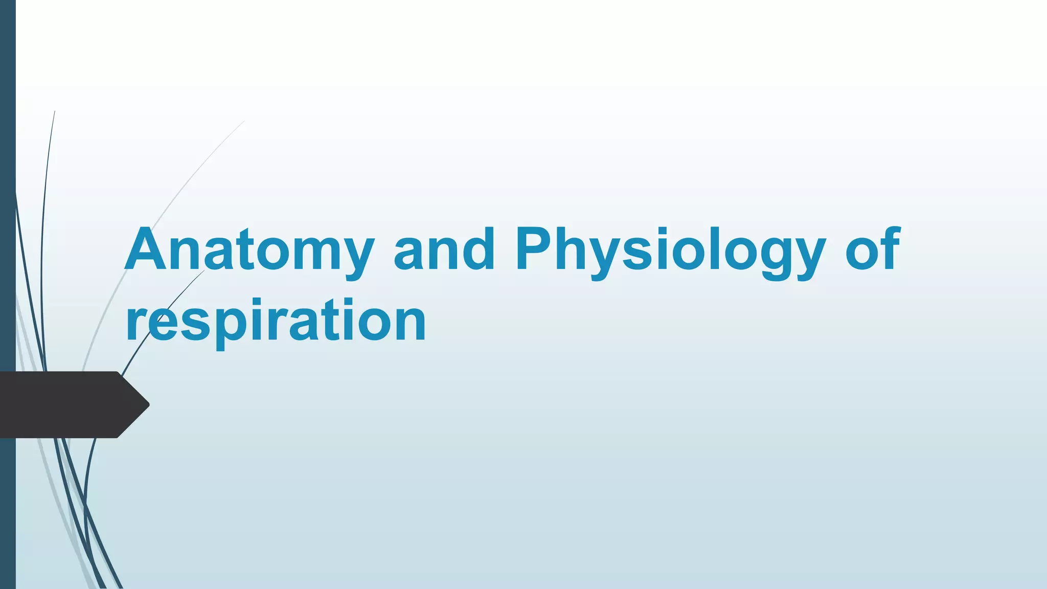 Anatomy and physiology of respiration | PPTX | Smoking Cessation | Wellness