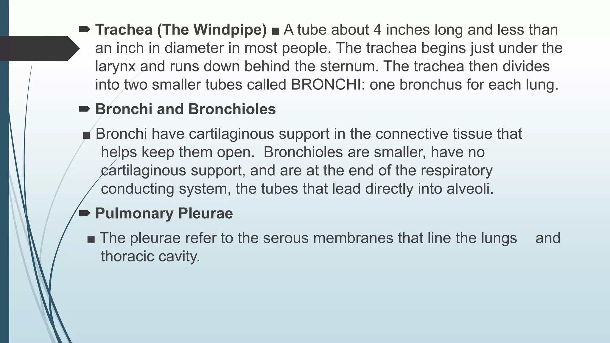 Anatomy and physiology of respiration | PPTX