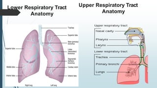 Anatomy and physiology of respiration | PPTX