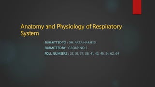 Anatomy and Physiology of Respiratory System-1.pptx
