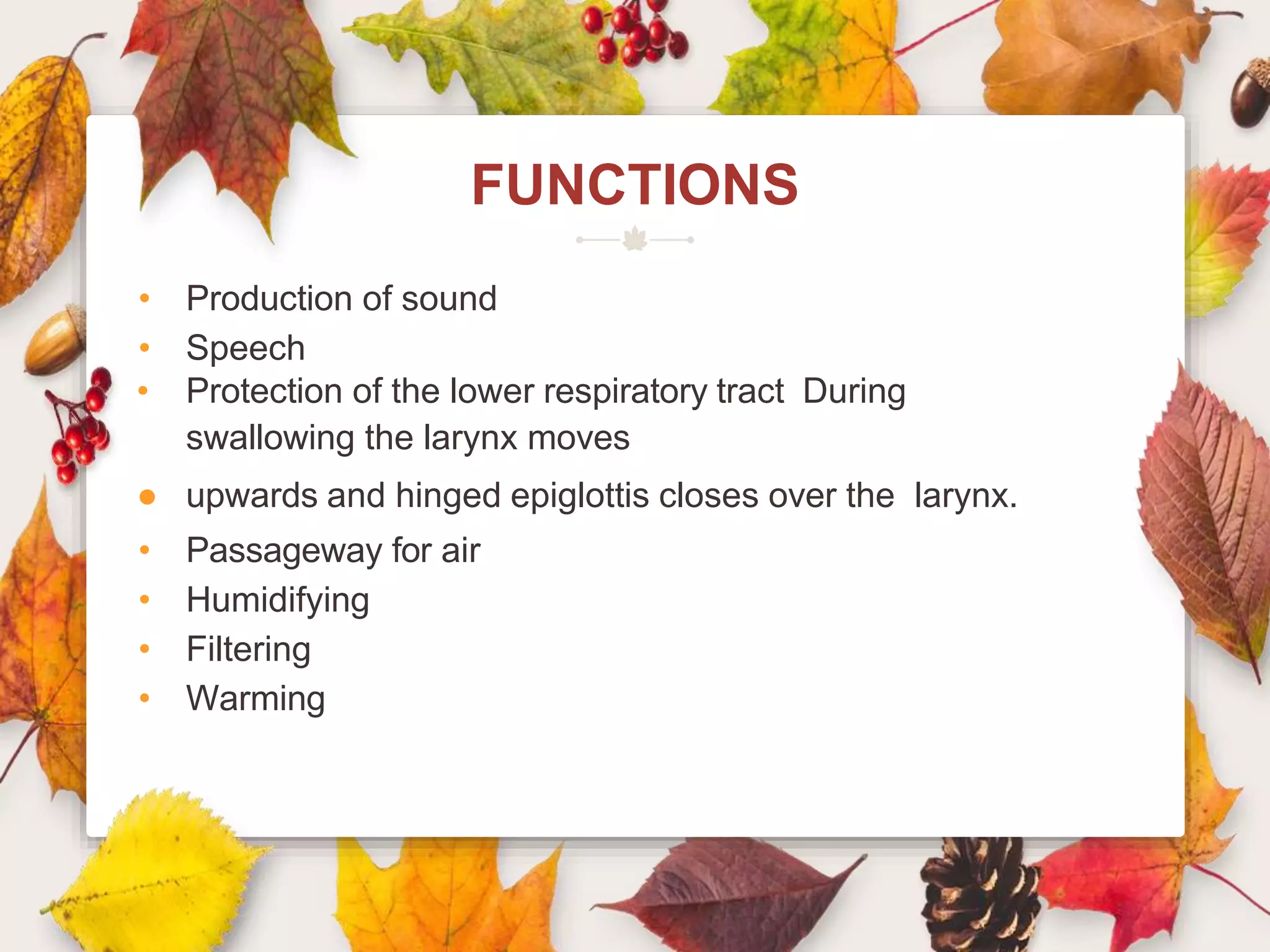 Anatomy and physiology of respiratory system | PPTX