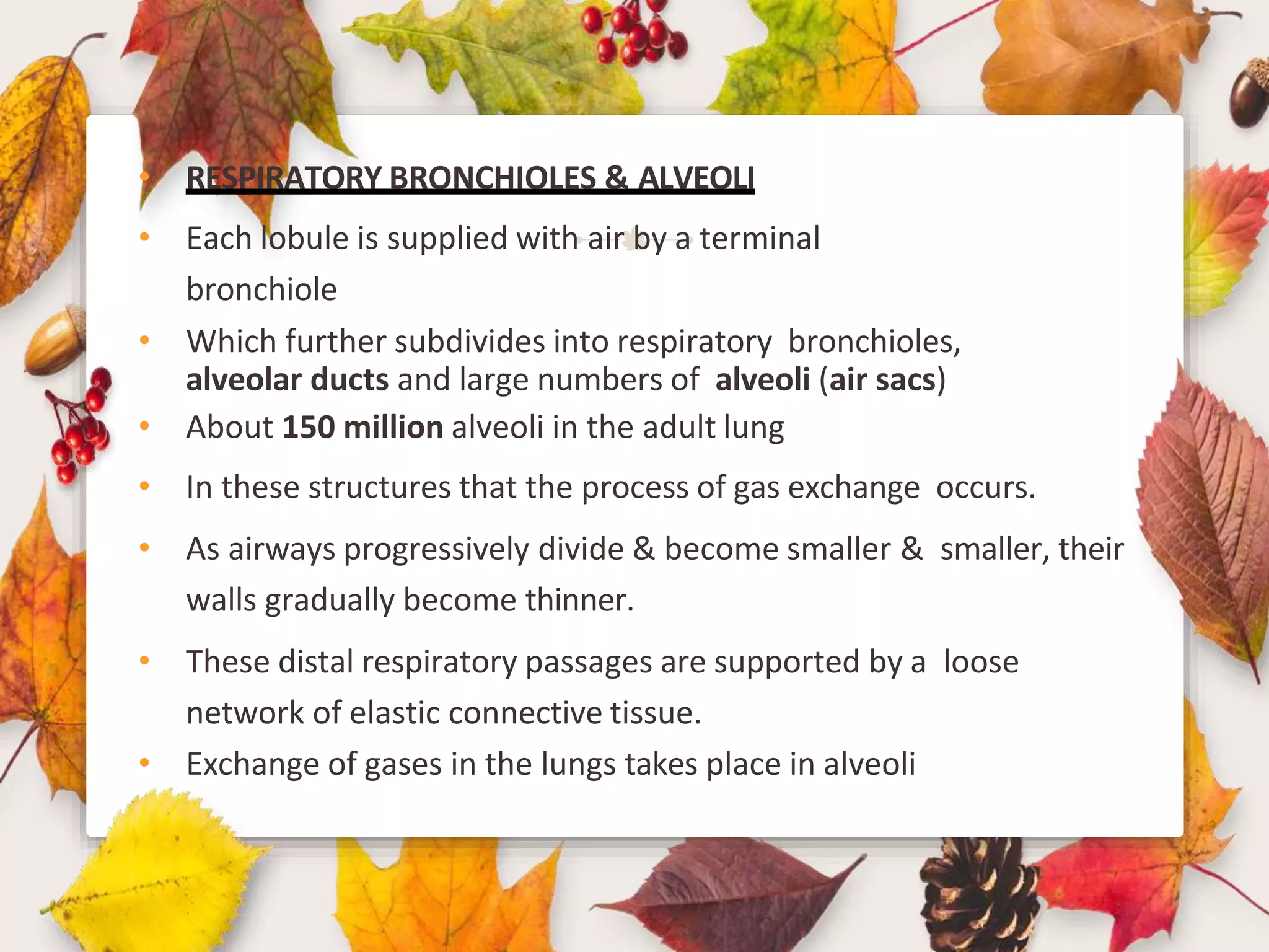 Anatomy and physiology of respiratory system | PPTX