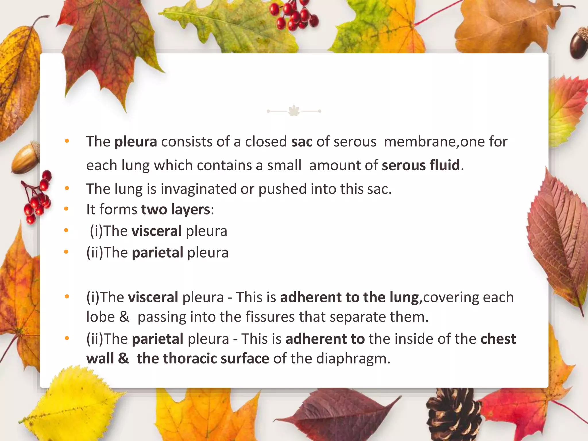 Anatomy and physiology of respiratory system | PPTX