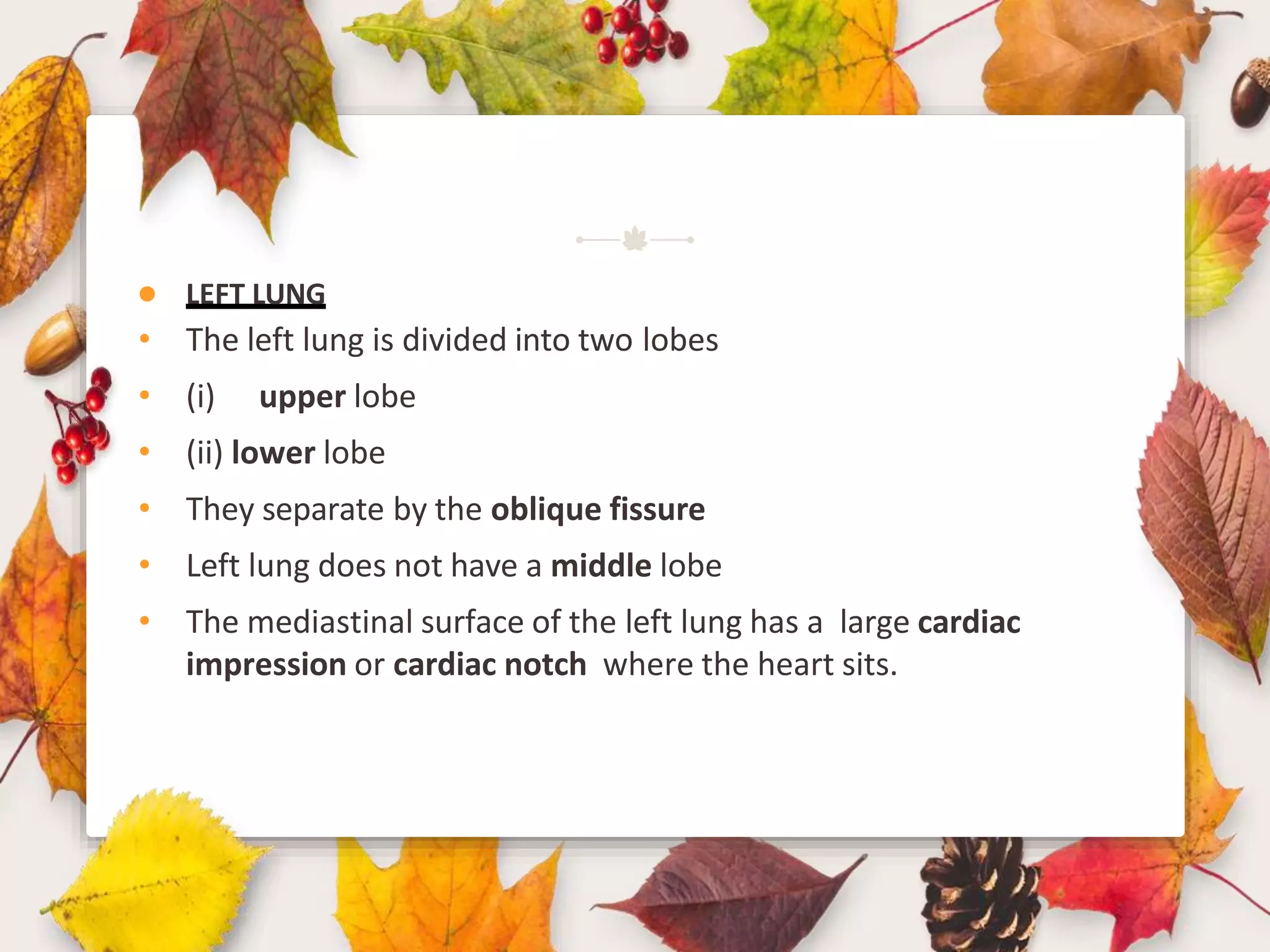 Anatomy and physiology of respiratory system | PPTX