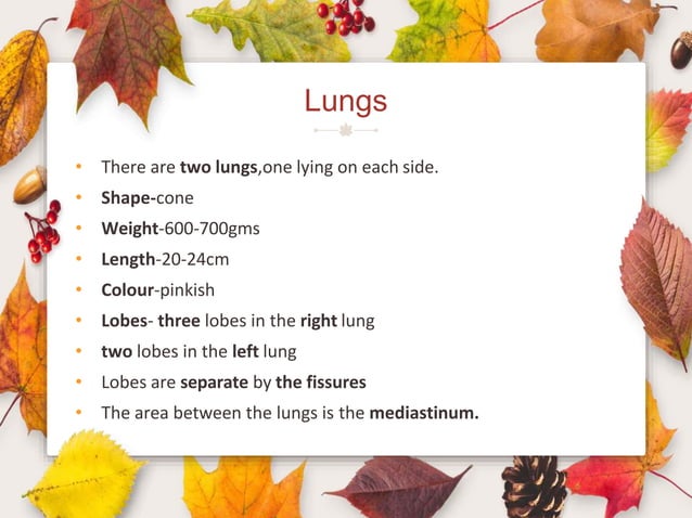 Anatomy and physiology of respiratory system | PPTX