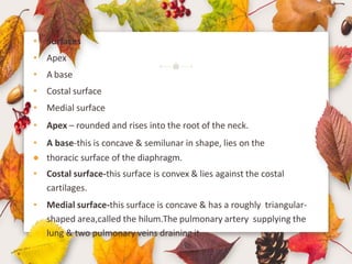 Anatomy and physiology of respiratory system | PPTX