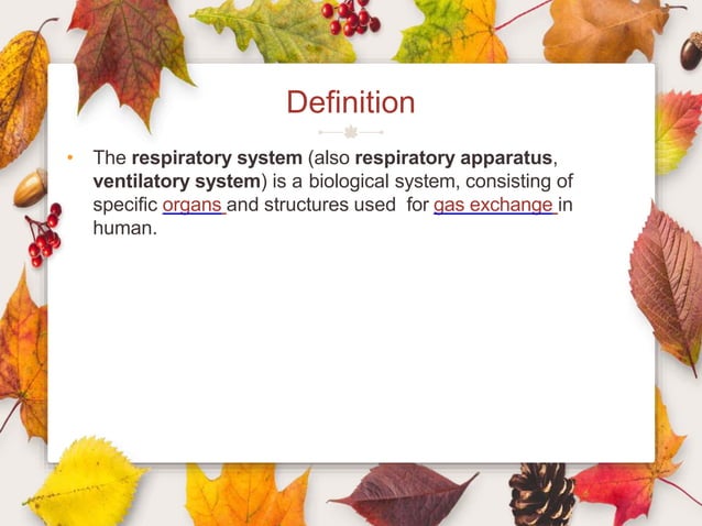 Anatomy and physiology of respiratory system | PPTX