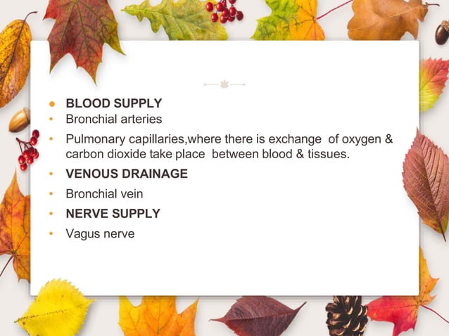 Anatomy and physiology of respiratory system | PPTX