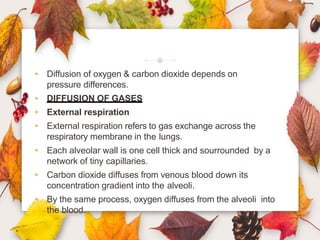 Anatomy and physiology of respiratory system | PPTX