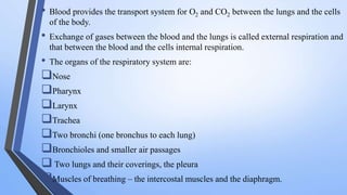 ANATOMY AND PHYSIOLOGY OF RESPIRATORY SYSTEM.pptx