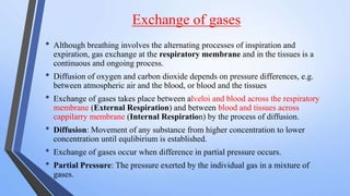 ANATOMY AND PHYSIOLOGY OF RESPIRATORY SYSTEM.pptx