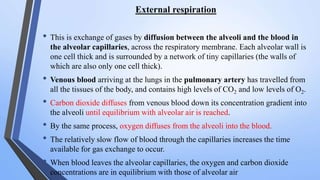 ANATOMY AND PHYSIOLOGY OF RESPIRATORY SYSTEM.pptx