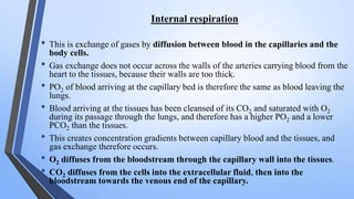 ANATOMY AND PHYSIOLOGY OF RESPIRATORY SYSTEM.pptx