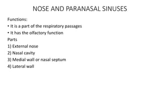 ANATOMY AND PHYSIOLOGY OF RESPIRATORY SYSTEM.pptx