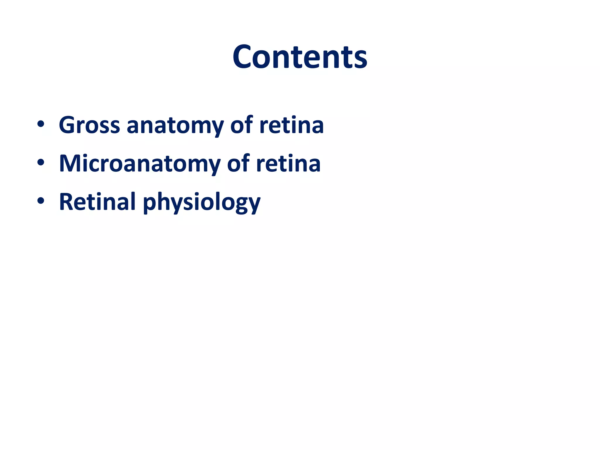 Anatomy and physiology of retina | PPTX