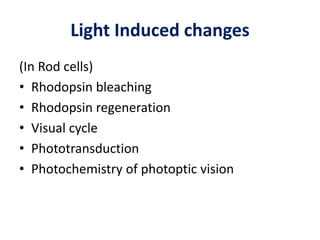 Anatomy and physiology of retina | PPTX