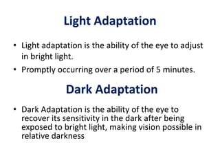 Anatomy and physiology of retina | PPTX