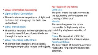 ANATOMY AND PHYSIOLOGY OF RETINA (1).pptx