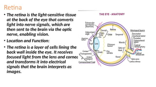 ANATOMY AND PHYSIOLOGY OF RETINA (1).pptx